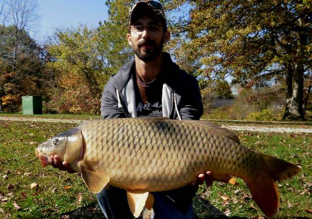 Hearing on Carp today | WSLM RADIO