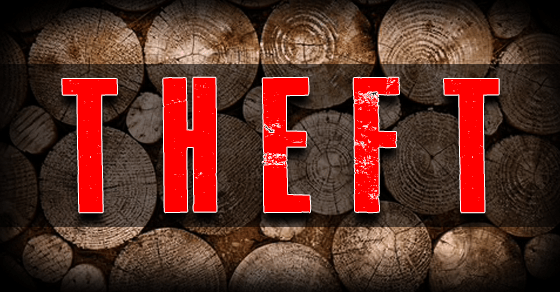 Evansville man arrested for timber theft | WSLM RADIO